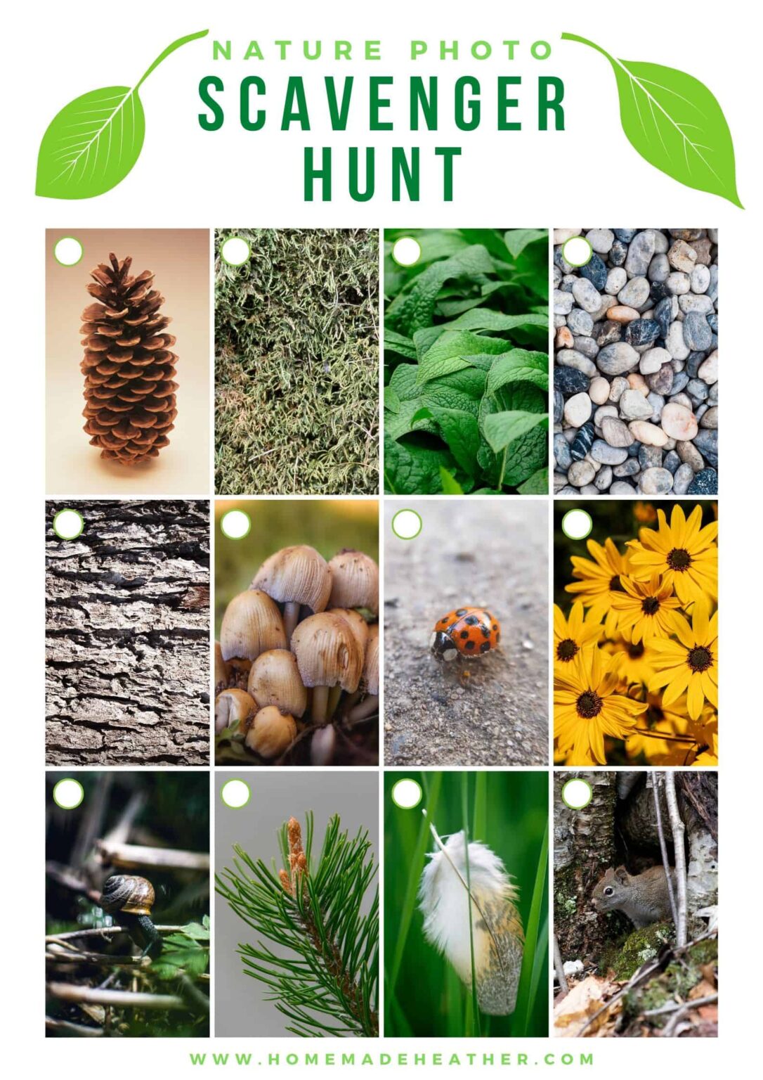 20+ Nature Scavenger Hunt Ideas » Homemade Heather