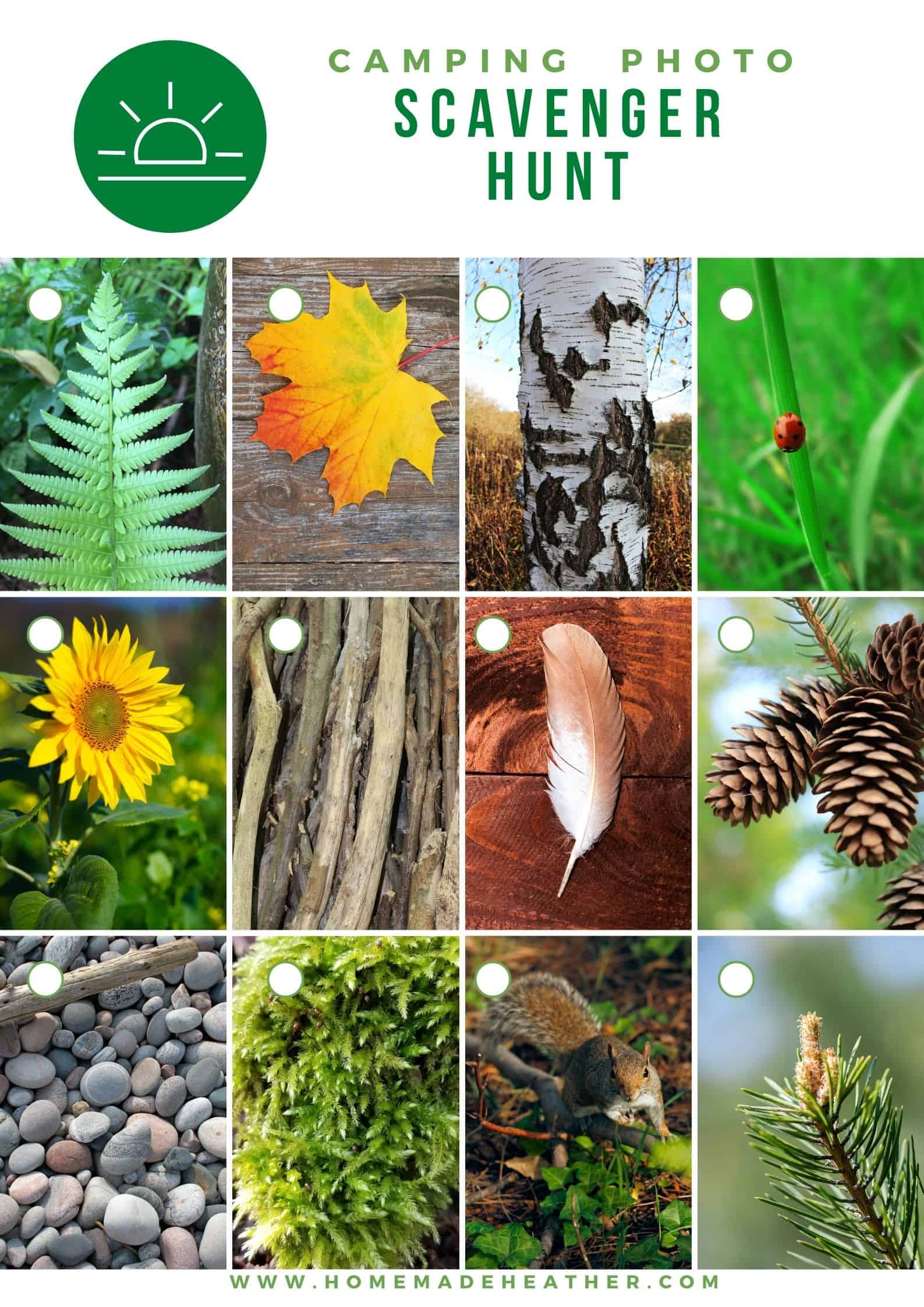 20+ Nature Scavenger Hunt Ideas » Homemade Heather