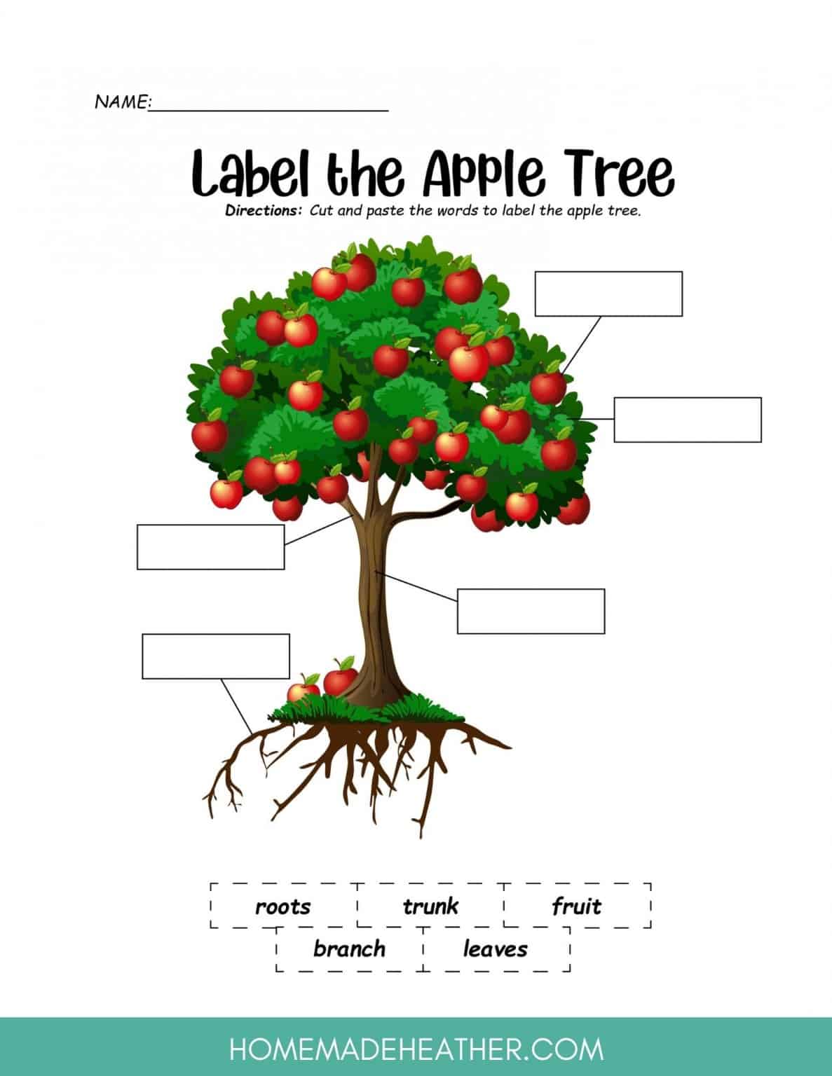 Free Apple Activity Printables » Homemade Heather