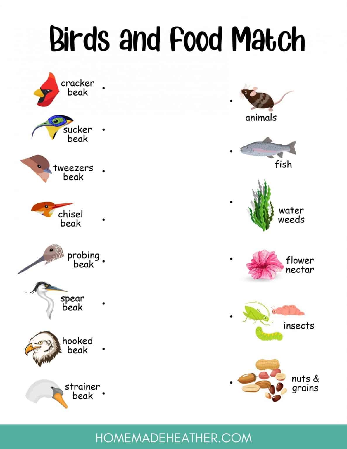 Bird Printable Work Sheets for Elementary School » Homemade Heather