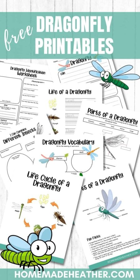 Free Dragonfly Activity Printables » Homemade Heather