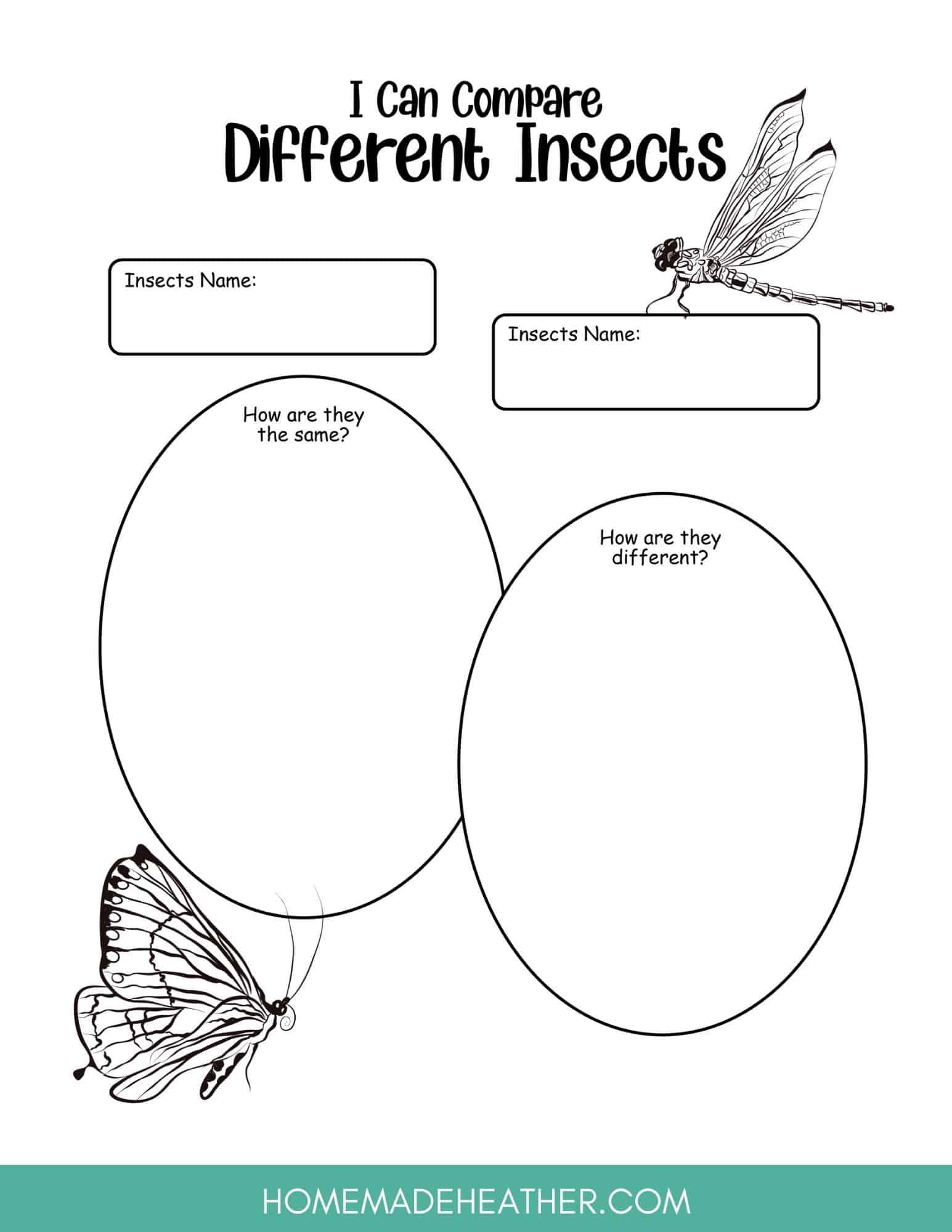 Free Dragonfly Activity Printables » Homemade Heather