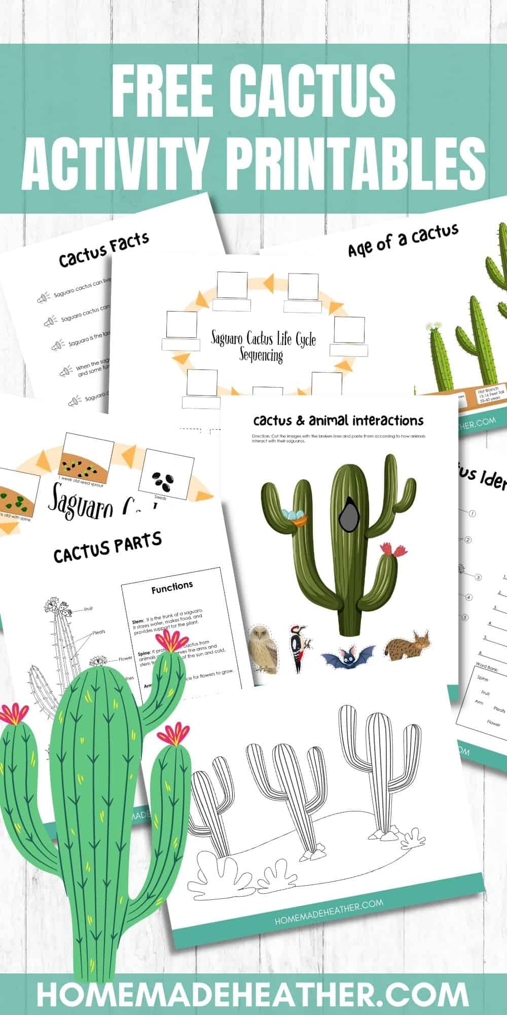 Free Cactus Activity Printables » Homemade Heather