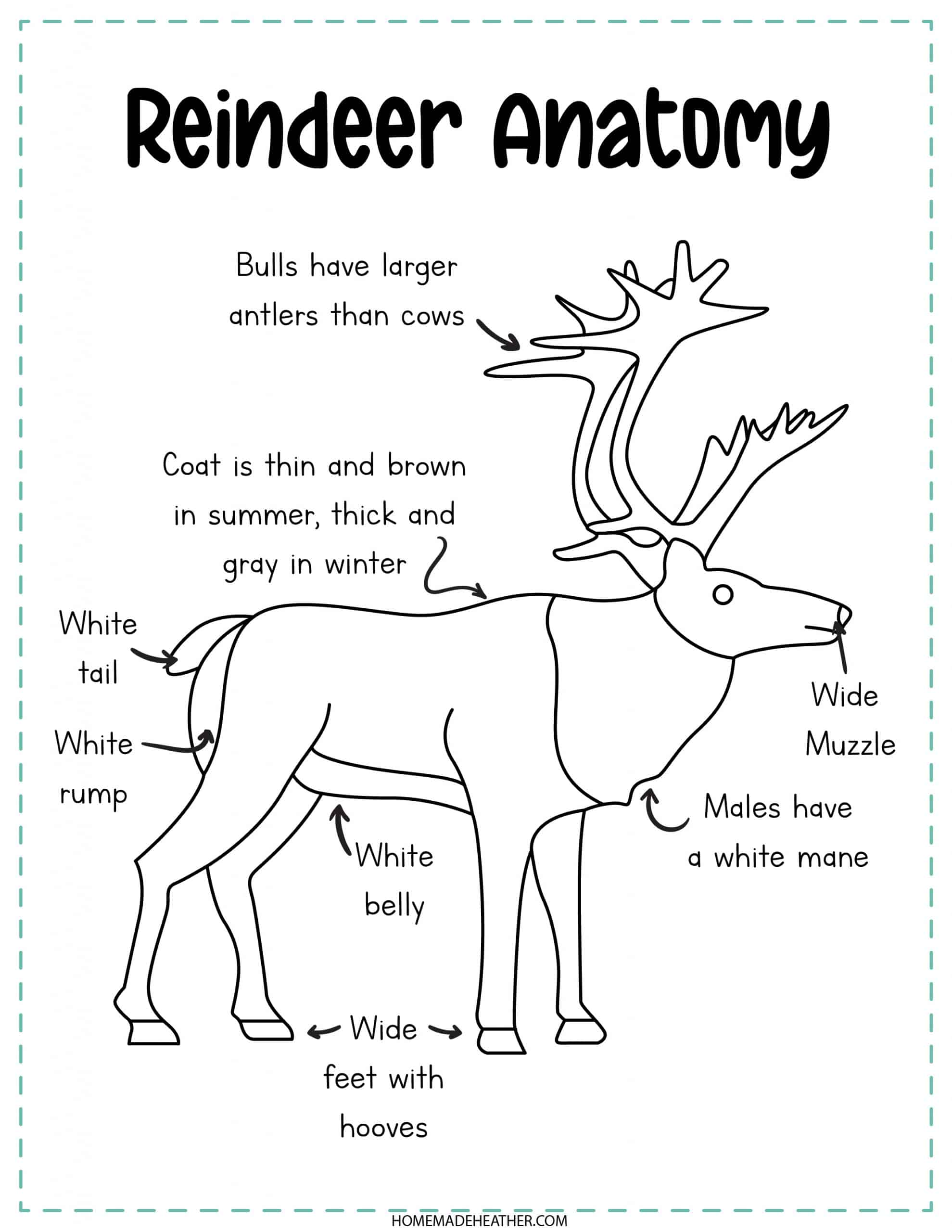 Free Reindeer Activity Printables » Homemade Heather