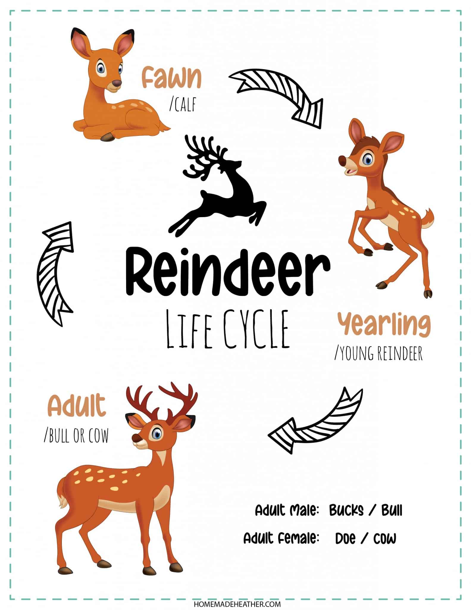 Free Reindeer Activity Printables » Homemade Heather