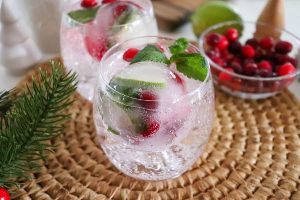 Holiday Infused Ice Cubes » Homemade Heather