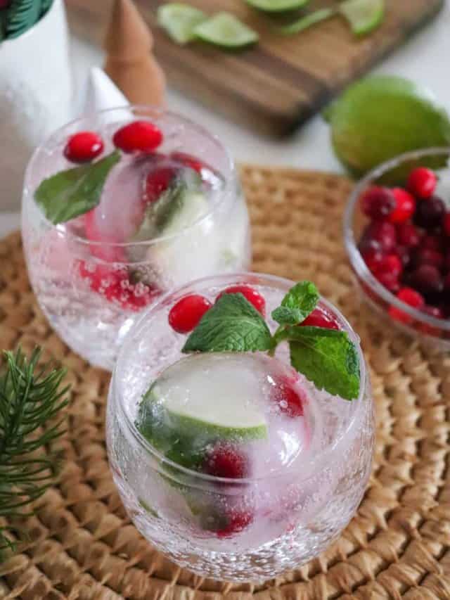 Holiday Infused Ice Cubes » Homemade Heather