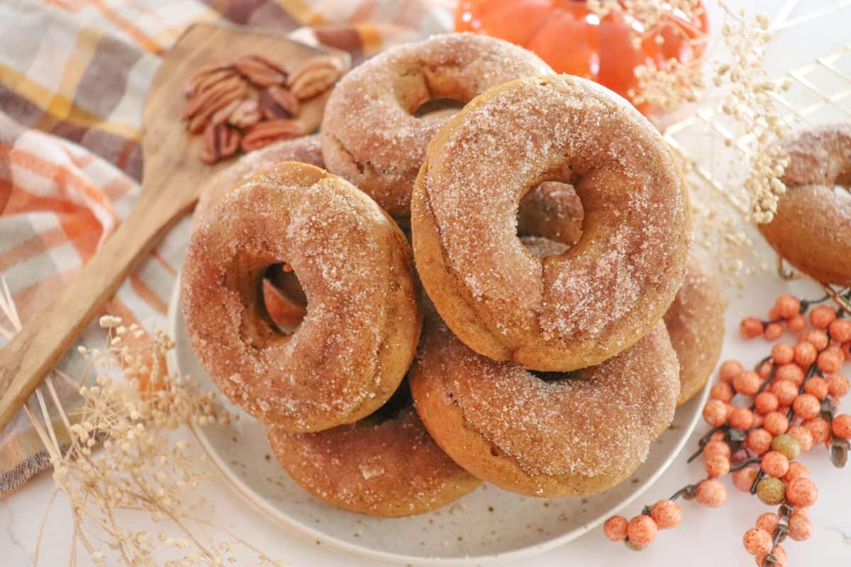 Pumpkin Spice Donut Recipe » Homemade Heather