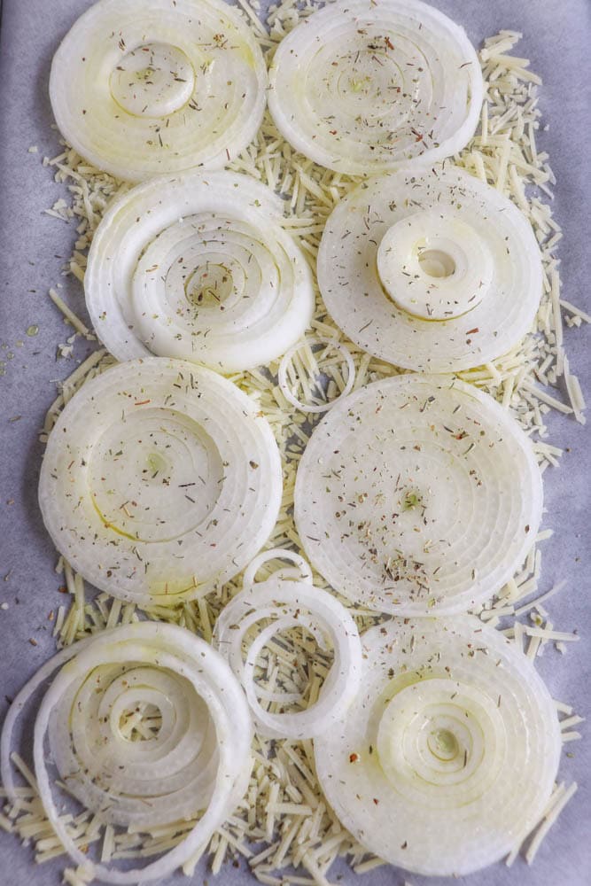 2-Ingredient Onion Ring Chips (Viral Tiktok Recipe) » Homemade Heather